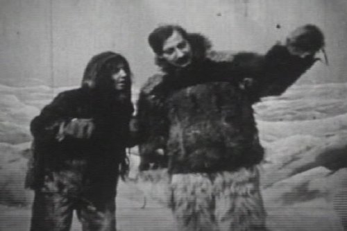 Amazon.com: 1912 North Pole Discovery Dr. Frederick Cook Expedition ...