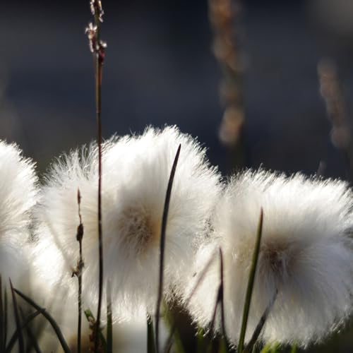 Jeg Skal Holde Rundt Deg Og Håpet by Liv Mari Schei on Amazon Music ...