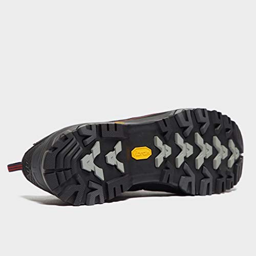 Berghaus Men’s Expanse Gore-TEX Walking Shoe with High Traction Vibram ...