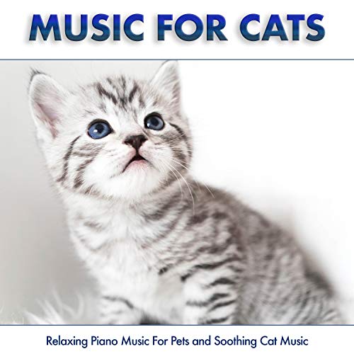Amazon MusicでMusic For Cats, Cat Music & Music For PetsのMusic For Cats ...