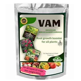 VAM (Vesicular Arbuscular Mycorrhiza)VAM is Alternative to DAP ...
