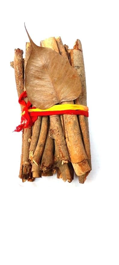 Pipal Ki Lakdi Puja Sticks, 40 Sticks, Peepal Tree Dry Wood for Havan ...