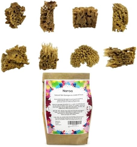 Amazon.com: Naroa Artist Natural Sea Sponges for Painting 4 Pack ...