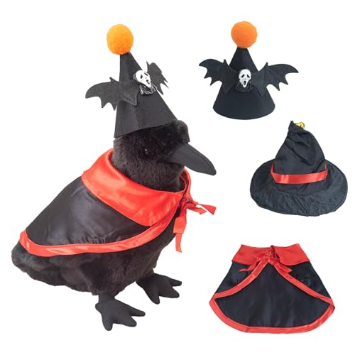 37 Crow Halloween Decor Inspirations for Fall