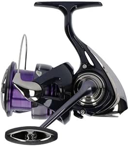 DAIWA 24 Prorex X LT 2000, Spinning Fishing Reel, Frontdrag : Amazon.co.za: Sports & Outdoors