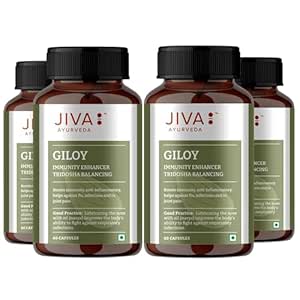 Jiva Giloy - 60 * 4 Capsule for Digestion | 100% Pure & Natural | Ageing and Immunity Boost ...