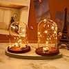 Amazon.com: Suclain 4 Pcs Glass Display Dome Cloche Clear Dome Cloche ...