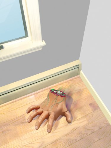 Amazon.com: Hand Runner Animated : Movies & TV