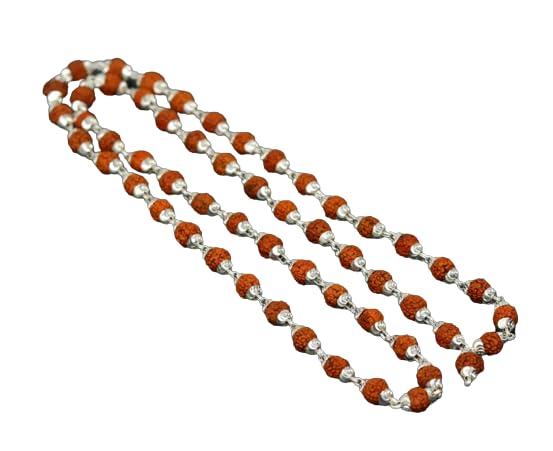 Buy Venus Gems Gallery Rudraksha Mala 54 Beads Original Certified ...