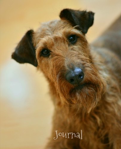 Journal: Lakeland Terrier: Publications, Dreamflight: 9781979312745 ...
