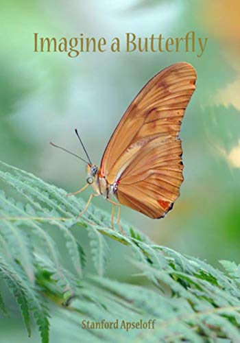Imagine a Butterfly: Apseloff, Stanford: 9781936772247: Amazon.com: Books