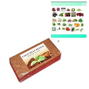 Elamgreen Coco Peat Block 650 Gram Vegetable Seeds for home gardening ...