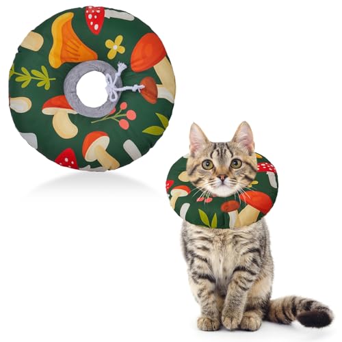 Cat Cones – The 15 best products compared - Wild Explained