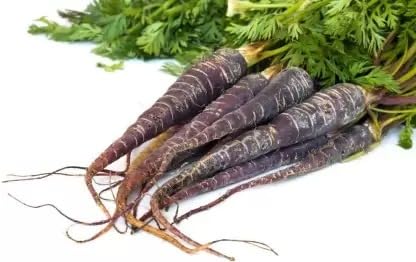 Swa-Deshi Carrot Black:Gajar-85 per packet : Amazon.in: Garden & Outdoors