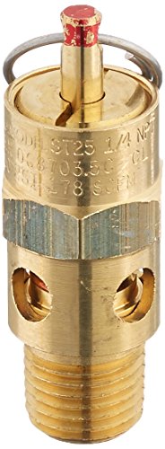 Milton S-1090-200 1/4" MNPT ASME Safety Valve - 200 PSI Pop off ...