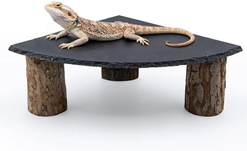 Amazon.com : Bearded Dragon Tank Accessories, Basking Platform with ...