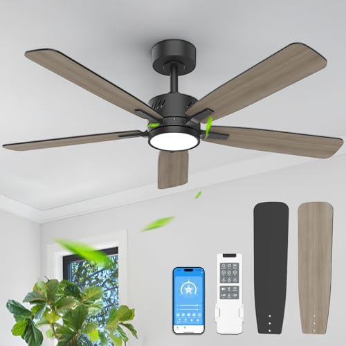 Amazon.com: Ayaoty Ceiling Fans with Lights, 48 inch Low Profile ...