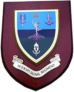 Military 18 UKSF UK Special Forces SAS Signals Wall Plaque : Amazon.co ...