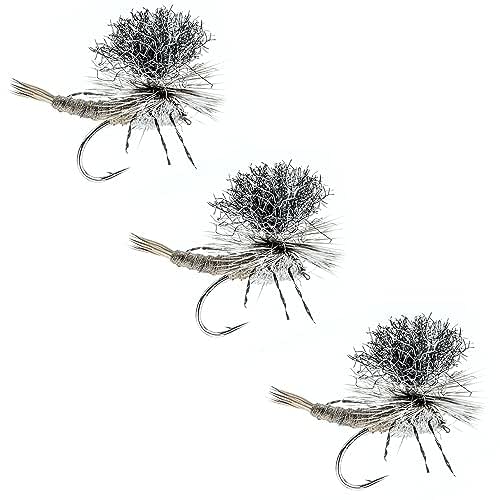 Amazon.com: Dry Flies by Colorado Fly Supply - Carnage Gray Drake ...