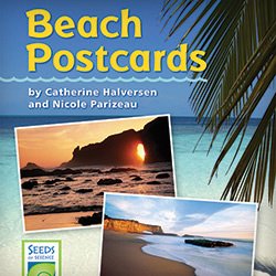 Beach Postcards: Catherine Halversen and Nicole Parizeau: 9781598214741 ...