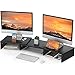 LORYERGO Dual Monitor Stand, Computer Monitor Stand Riser, Adjustable ...