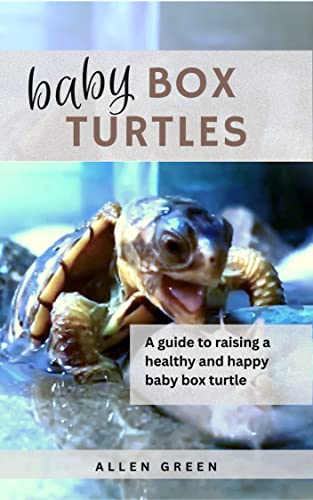 Baby Box Turtles: A guide to raising a healthy and happy baby box ...