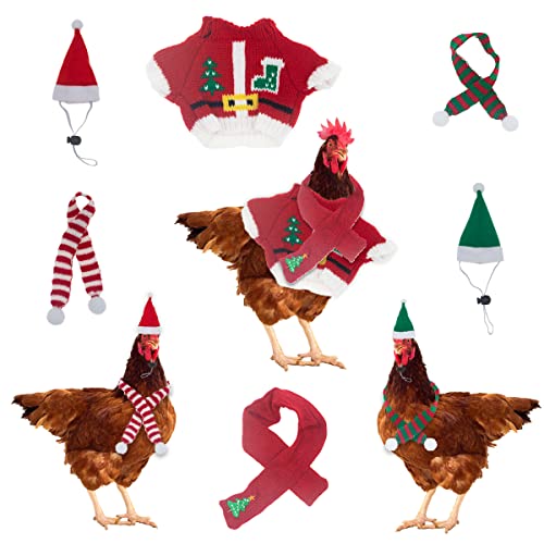 10 Best Pet Chicken Costumes to Make Your Feathered Friend the Talk of ...