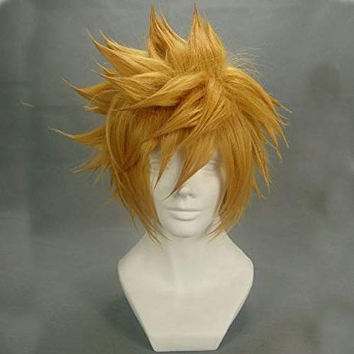 Amazon.com: Kingdom Hearts Roxas Wig Ventus Cosplay Wig 30cm Short ...