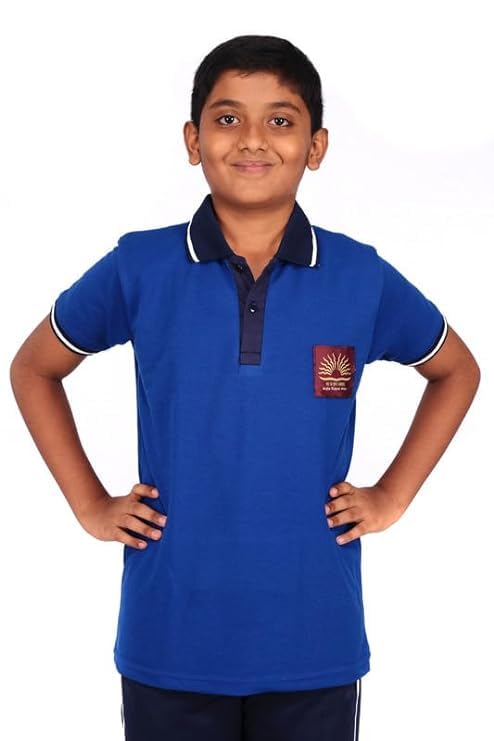 Buy Magicwears Cotton Unisex Kendriya Vidyalaya T-Shirt with Collar ...
