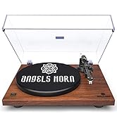 ANGELS HORN Vinyl Record Player, Bluetooth Turntable with Built in ...