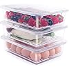 Buy Raawan Fridge Storage Boxes (Pack of 6), Fridge Organizer with ...