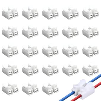 Runseaway 100pcs 2 Pin Push-in Spring Loaded Wire Connectors, 10A 220V ...