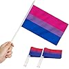Amazon.com : Anley Bisexual Pride Mini Flag 12 Pack - Hand Held Small ...