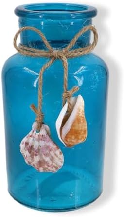 Amazon.com: The Bridge Collection 5" Seashell Beach Jar - Coastal ...