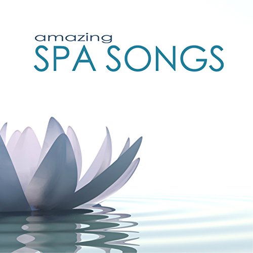 Amazon.com: Amazing Spa Songs - Ayurvedic Spa Music Therapy, Stress ...