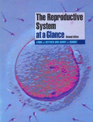 The Reproductive System at a Glance: Heffner, Linda J., Schust, Danny J ...