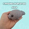 Amazon.com: Milo The Manatee Beginner Crochet Kit – Easy Plushie Craft ...