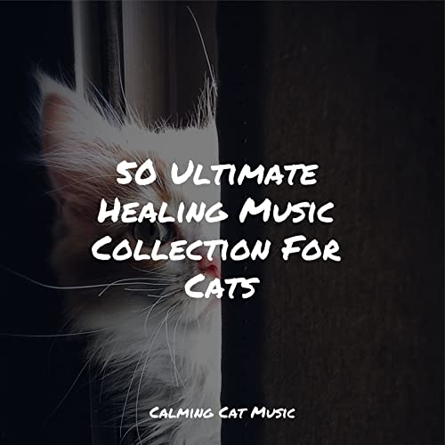 Play 50 Ultimate Healing Music Collection For Cats by Music for Pets ...