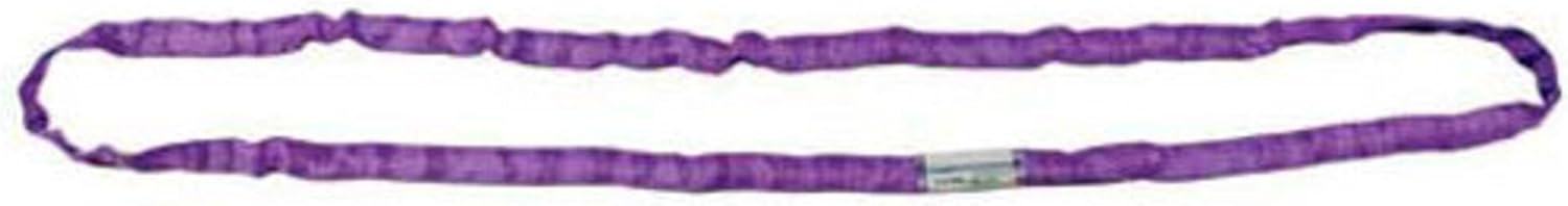 Amazon.com: Liftex RoundUp 3/4"W 20'L Endless Poly Roundsling, Purple ...