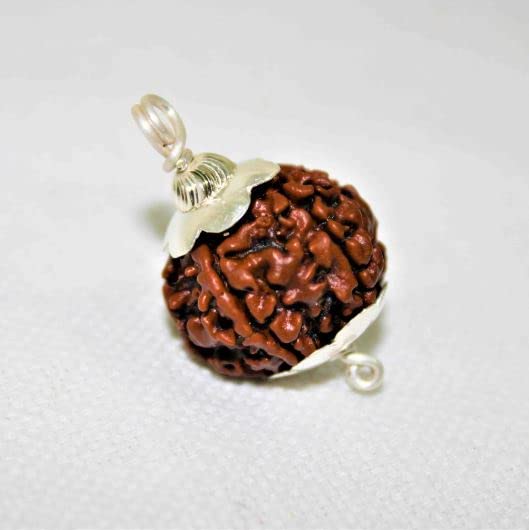 UrusGems AA+++ Natural Panchamukha Panch Mukhi 5 Mukhi Rudraksha ...