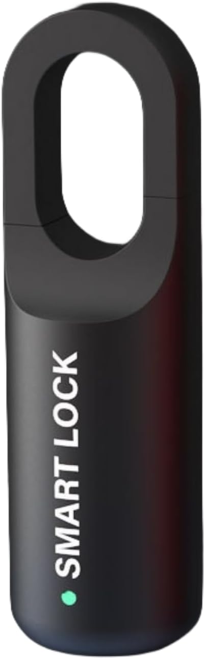 Smart Fingerprint Padlock, Rechargeable Small Locker Lock for School ...