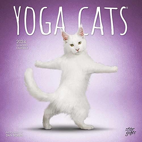 Yoga Cats OFFICIAL | 2024 12 x 24 Inch Monthly Square Wall Calendar ...