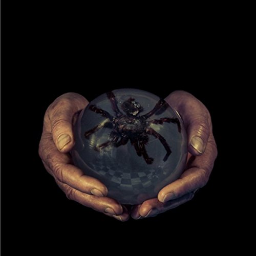 Amazon MusicでBuck GooterのThe Spider's Eyesを再生する