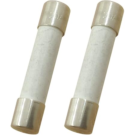 Amazon.com: DealEnvy- (2 Pack) Microwave Fuse / 20A Amp 250v Fuse, 6mm ...