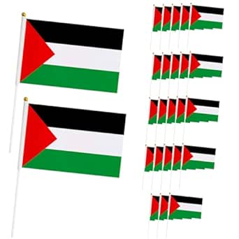 T Tersely 25 pieces Palestine Flag Hand Waving Desk Flags Double Sided ...