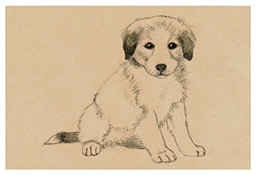 Snapklik.com : Pacon 004109 Cream Manila Drawing Paper