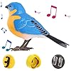 Amazon.com: Doefo Electric Singing and Chirping Bird Toy, Interactive ...