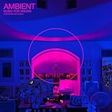 【発売日：2026年05月11日】・製造元:11186748 Records DK