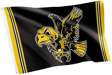 Amazon.com : Desert Cactus University of Iowa Flag Hawkeyes Banners 100 ...
