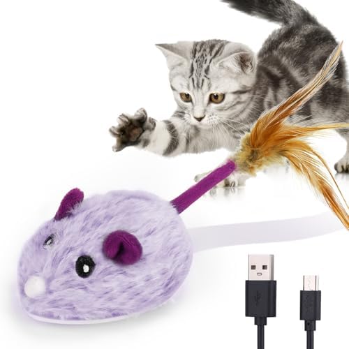 Amazon.com : Crazydeer Smart Remote Control Cat Toy - Auto-Moving USB ...